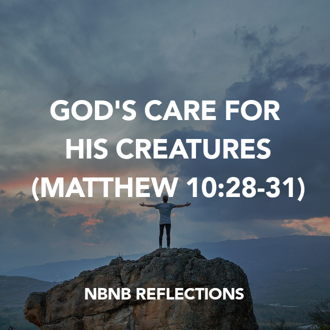 GOD’S CARE FOR HIS CREATURES (MATTHEW 10:28-31) – NO BIBLE NO BREAKFAST ...