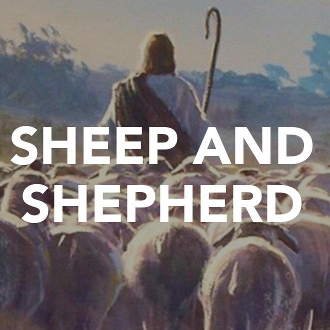 Good Shepherd Quotes M. Russell Ballard Quote: “Trust The Lord. He